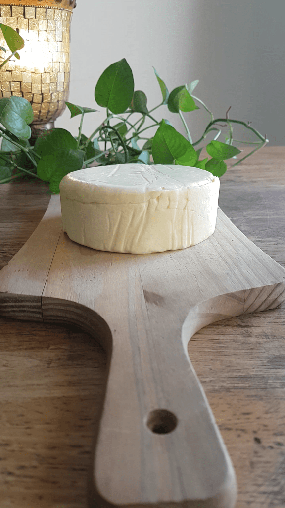 Offline Hands-on Cheese Classes – Online Cheese Classes | Casa Del ...
