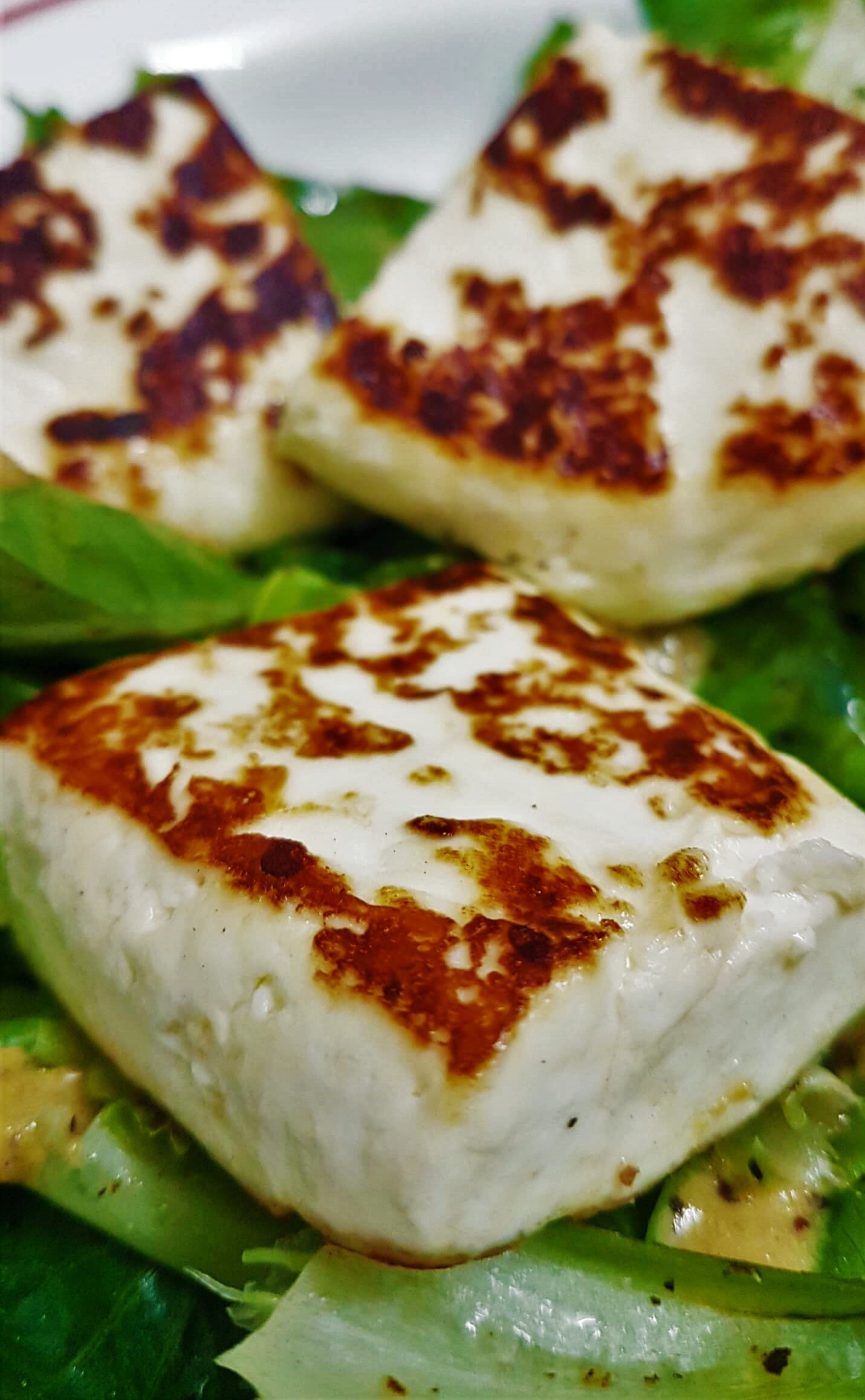 Grilled Halloumi Cheese Salad – Online Cheese Classes | Casa Del Cheese ...